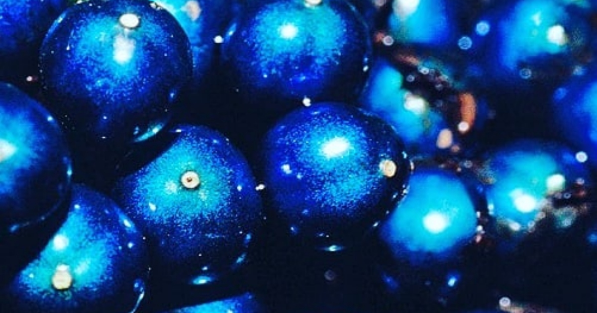 sostanza organica più luminosa del mondo Archives - Commenti memorabili