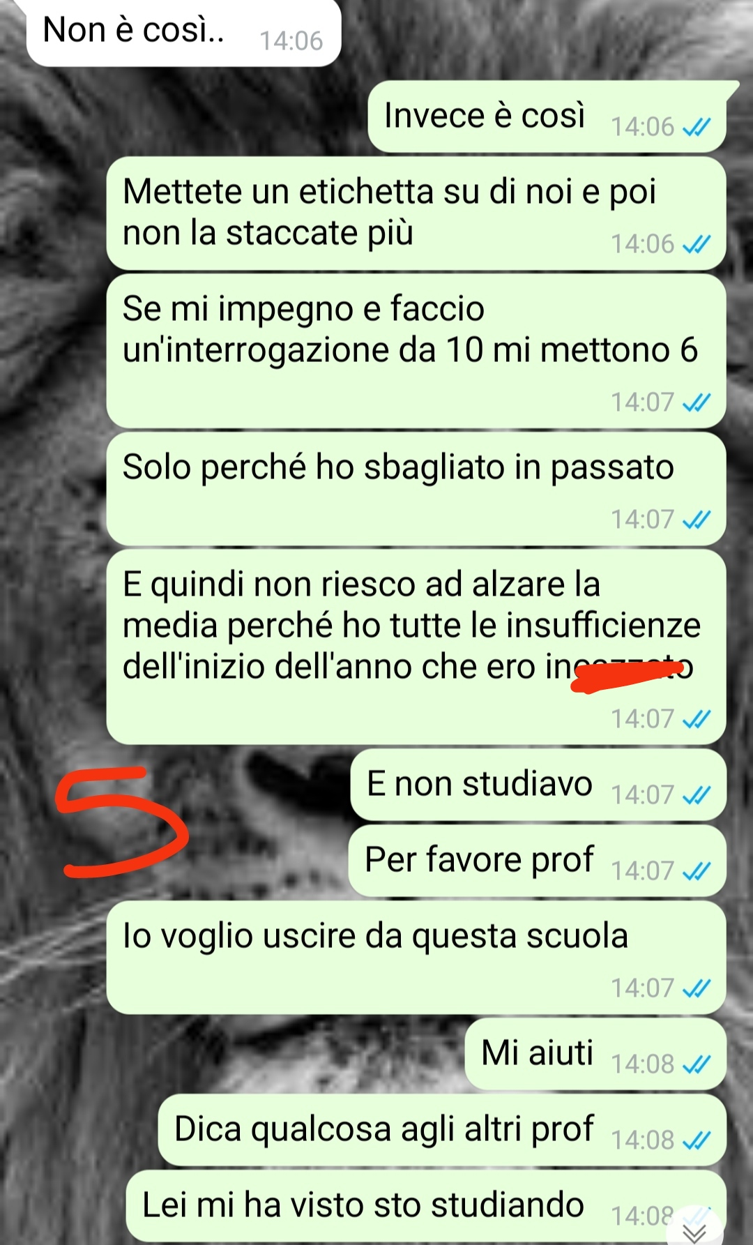 Ciao Prof