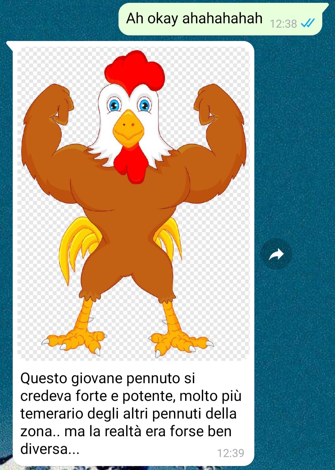 La storia del pennuto