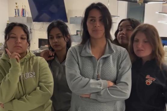 Qual è la differenza tra bosco, foresta e giungla?